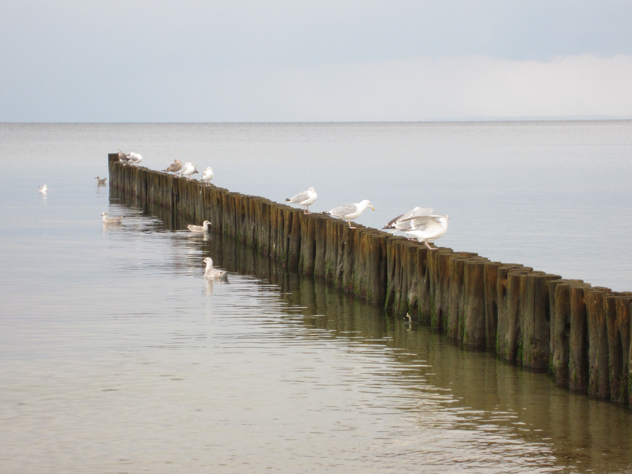 Impressionen | ferienaufpoel.de